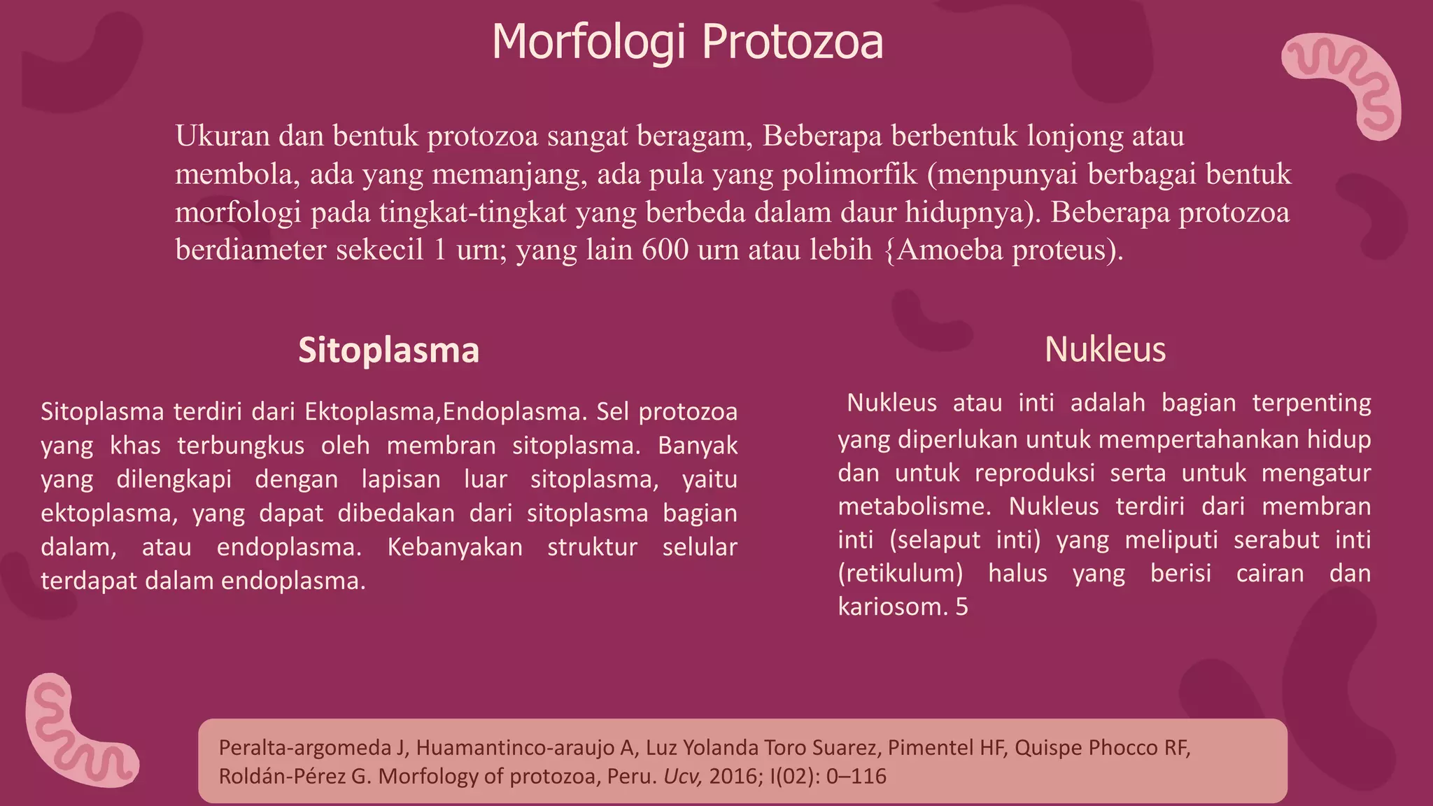 Ppt Agent Protozoa.pptx