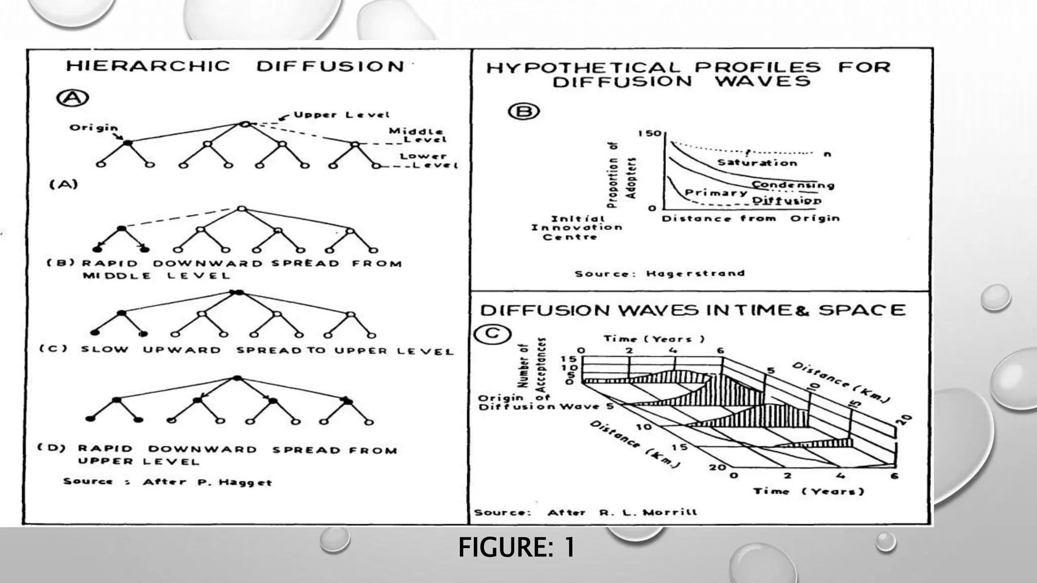 HEGERSTRAND MODEL OF AGRICULTURE INNOVATION DIFFUSION | PPTX