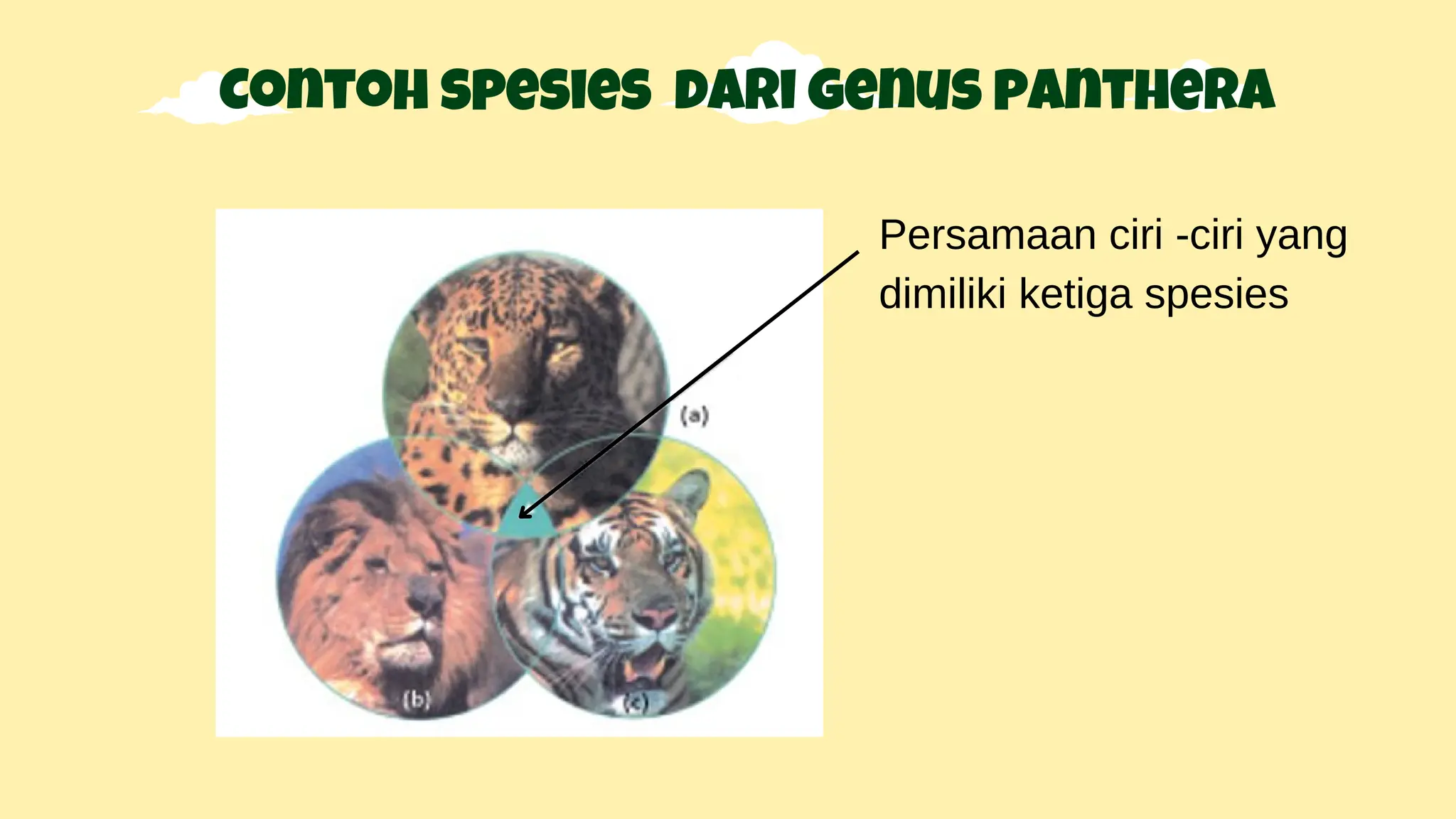 PPT AJAR - KEANEKARAGAMAN HAYATI INDONESIA | PDF