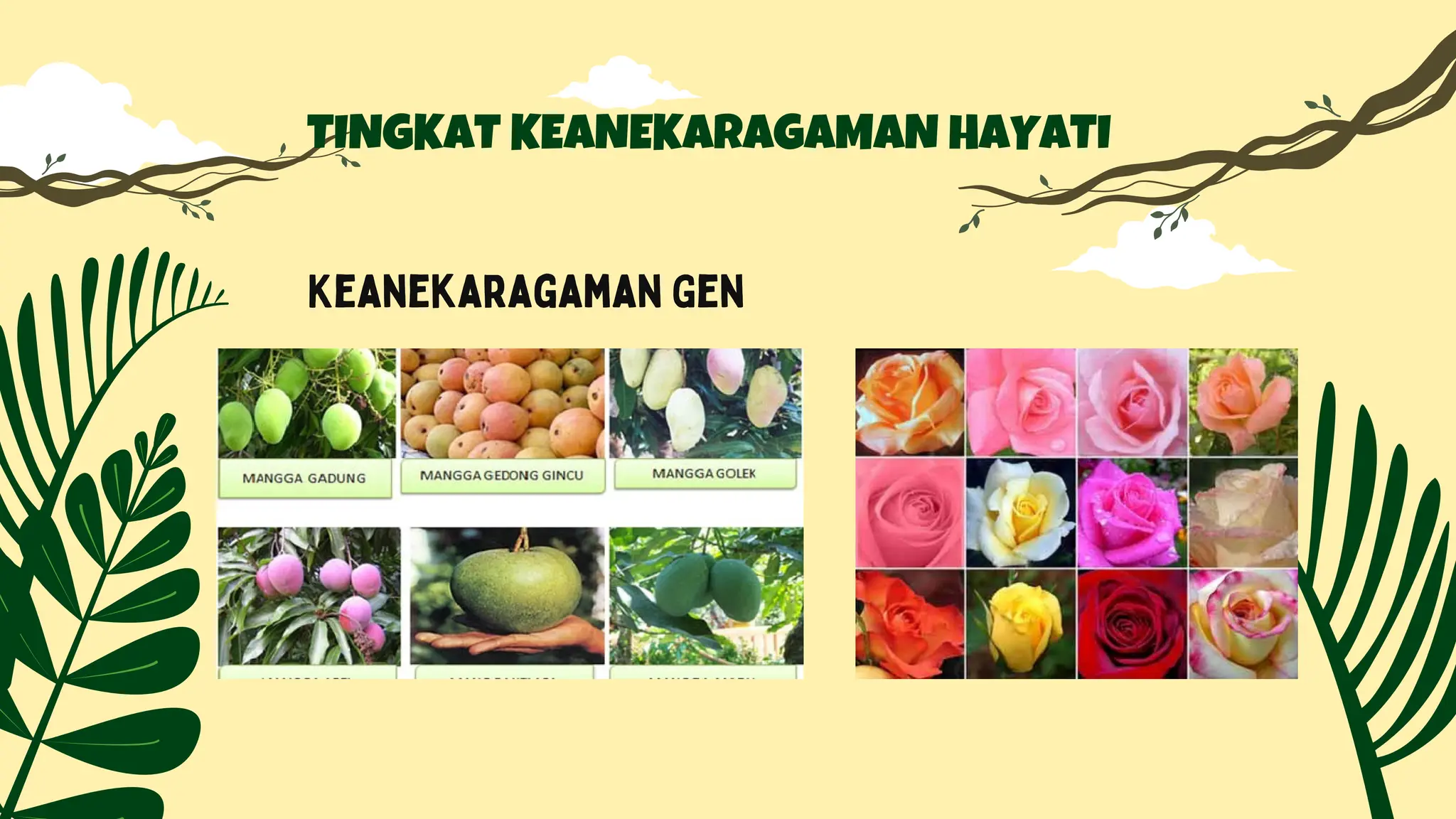 PPT AJAR - KEANEKARAGAMAN HAYATI INDONESIA | PDF