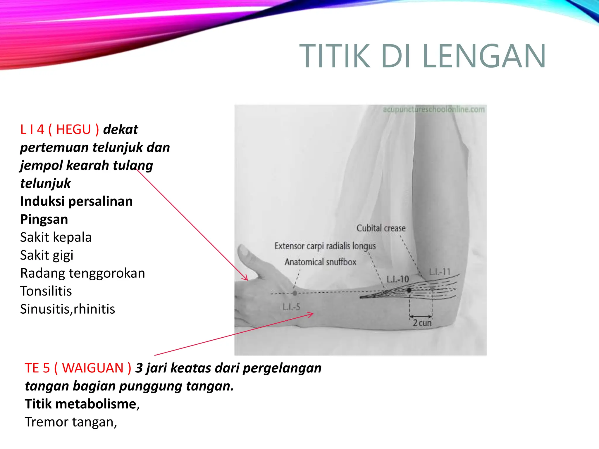 ppt Akupresure.ppt