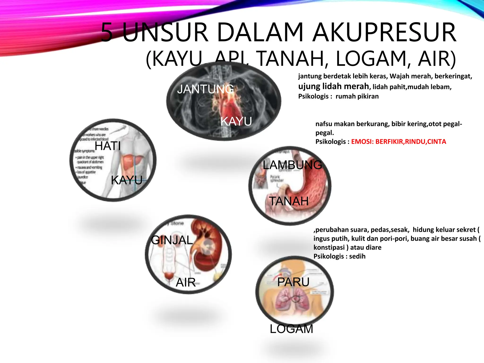 ppt Akupresure.ppt