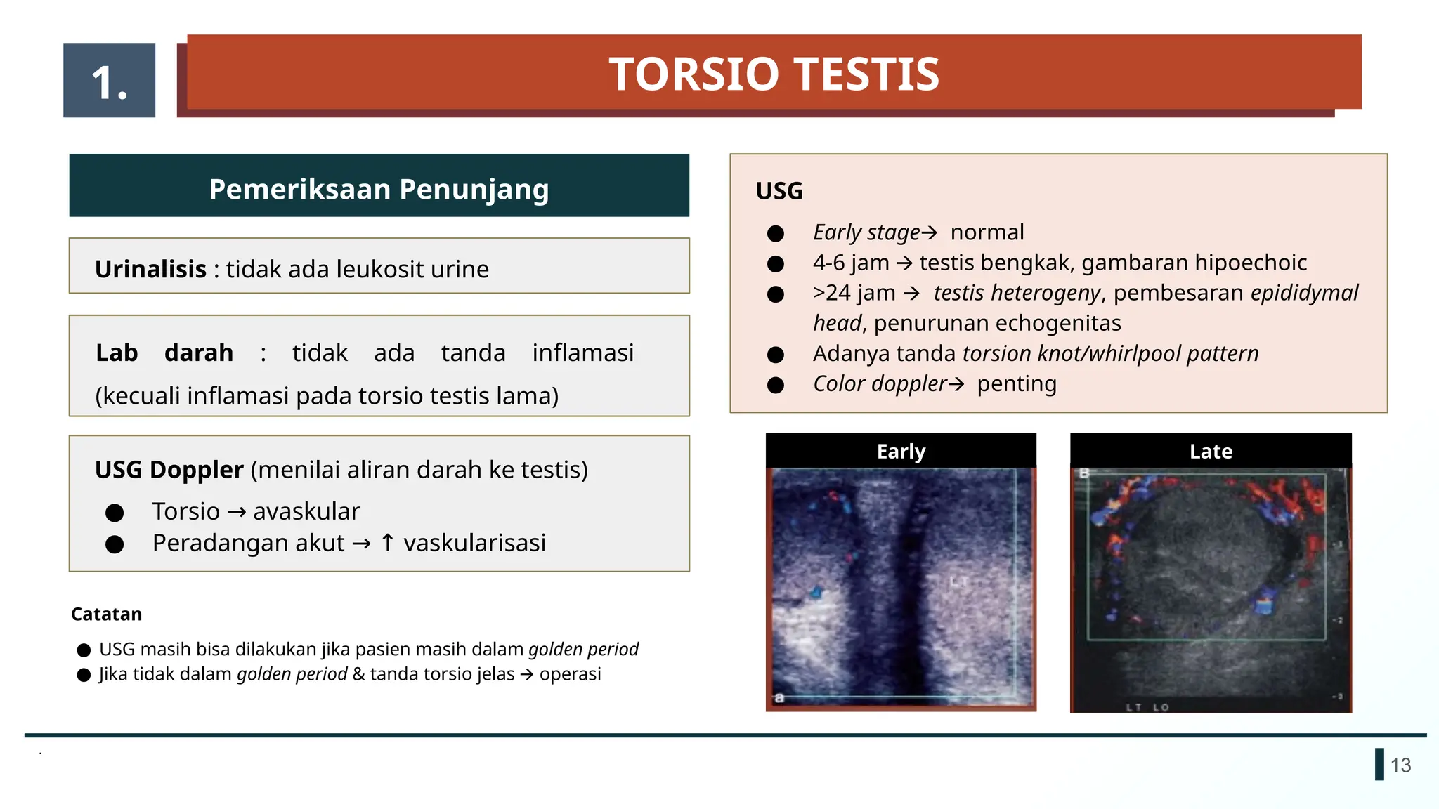 PPT AKUT SCROTUM untuk bahan belajar sehari-hari.pptx