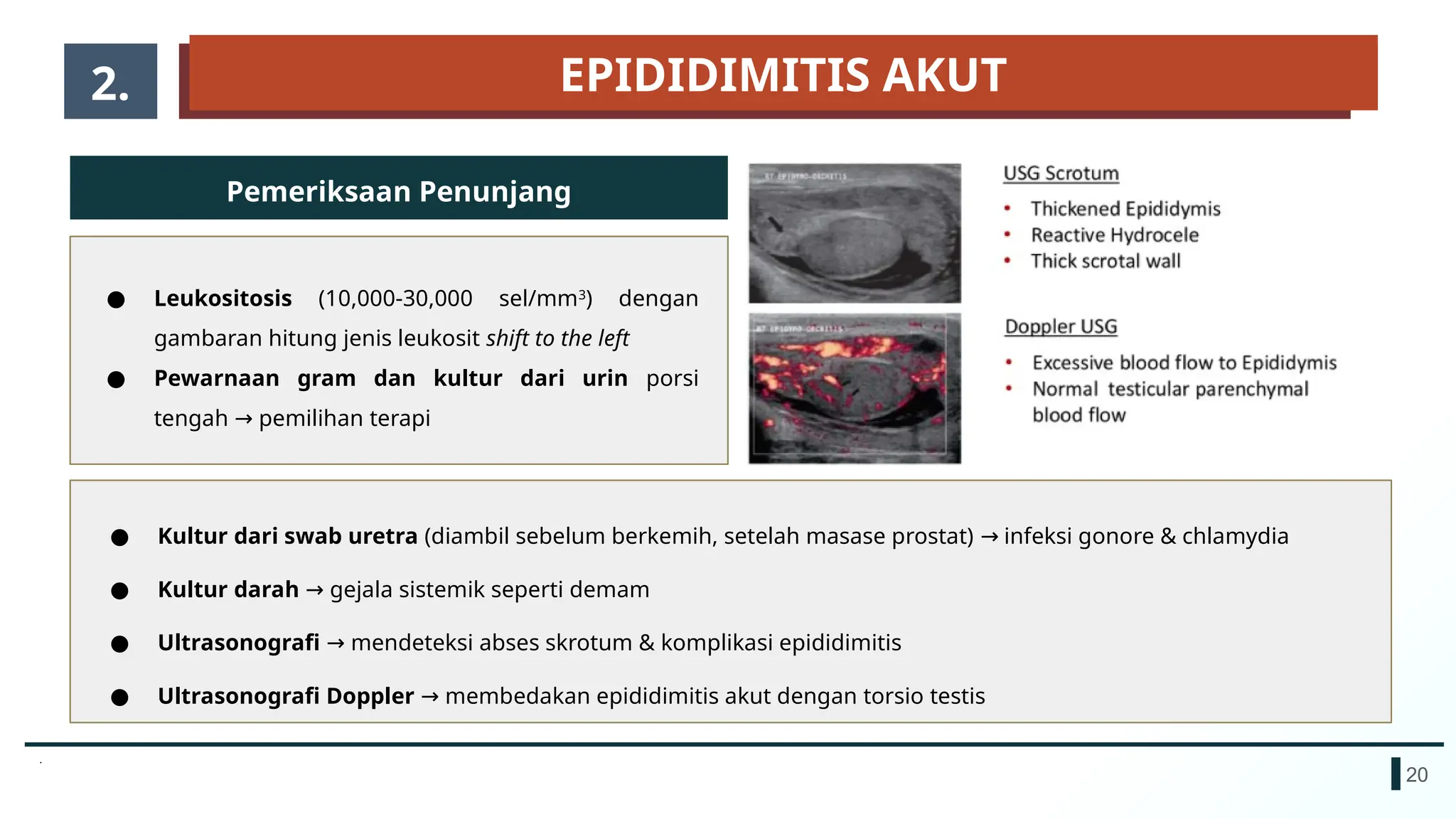 PPT AKUT SCROTUM untuk bahan belajar sehari-hari.pptx