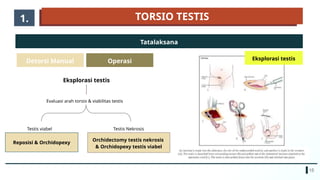 PPT AKUT SCROTUM untuk bahan belajar sehari-hari.pptx