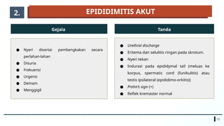 PPT AKUT SCROTUM untuk bahan belajar sehari-hari.pptx