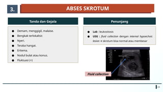 PPT AKUT SCROTUM untuk bahan belajar sehari-hari.pptx