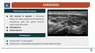 PPT AKUT SCROTUM untuk bahan belajar sehari-hari.pptx