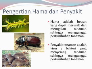 Ppt_Alat_dan_Mesin_Pengendalian_Hama_dan.ppt