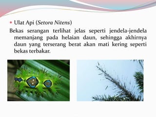 Ppt_Alat_dan_Mesin_Pengendalian_Hama_dan.ppt