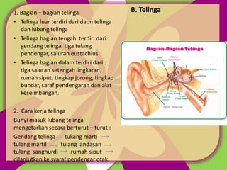 materi kelas IV tentang alat indera pada manusia | PPTX