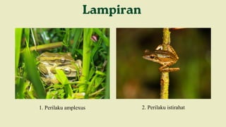 PPT Aldo Risky Pratama.pptx