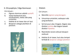 Ppt alga | PPTX