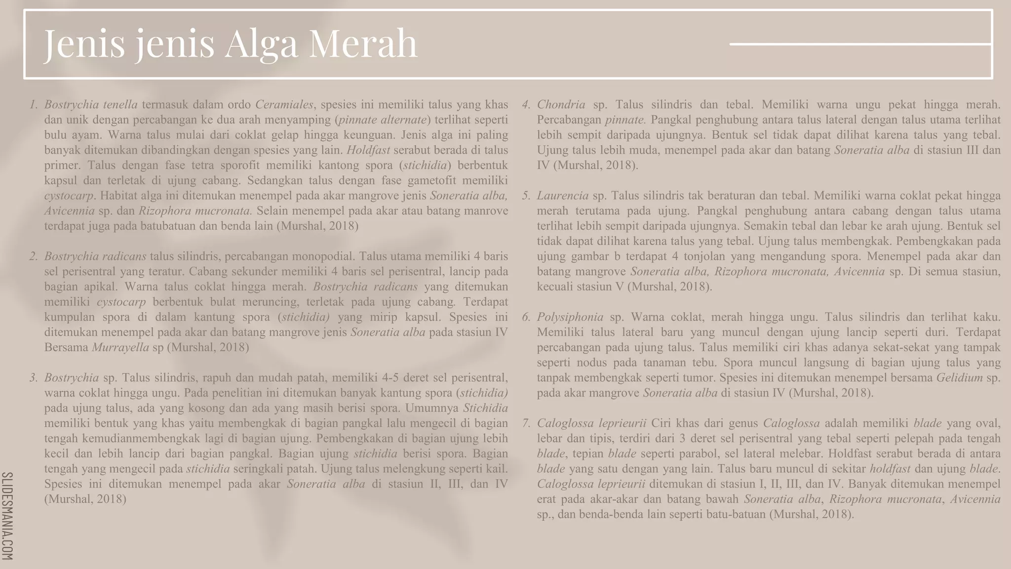 PPT alga merah.pptx