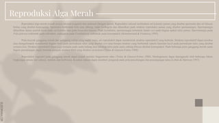 PPT alga merah.pptx