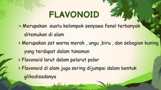 ppt alkaloid flavonid kel 2.pptx