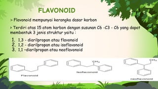ppt alkaloid flavonid kel 2.pptx