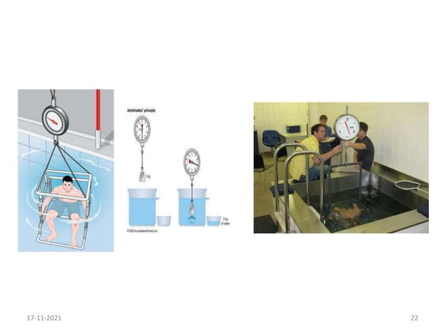 Anthropometric measurements | PPTX