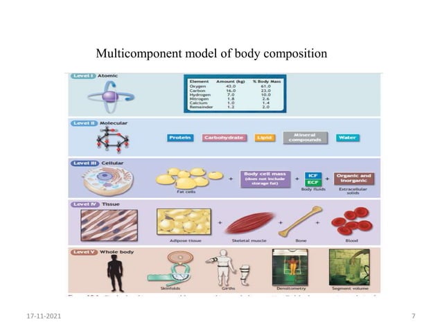 Anthropometric measurements | PPTX