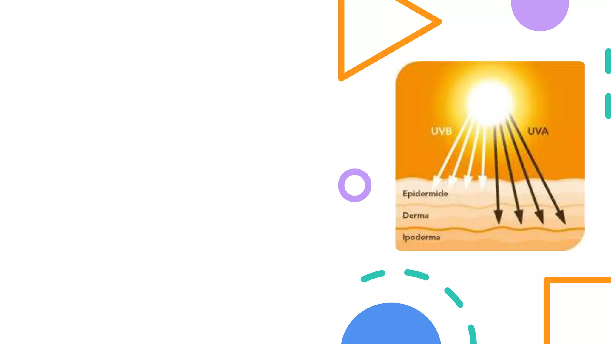 POWERPOINT AMBIENTE | PPT