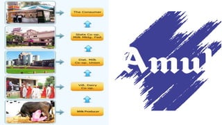 Supply Chain Management of Amul; Distribution network of Amul | PPTX