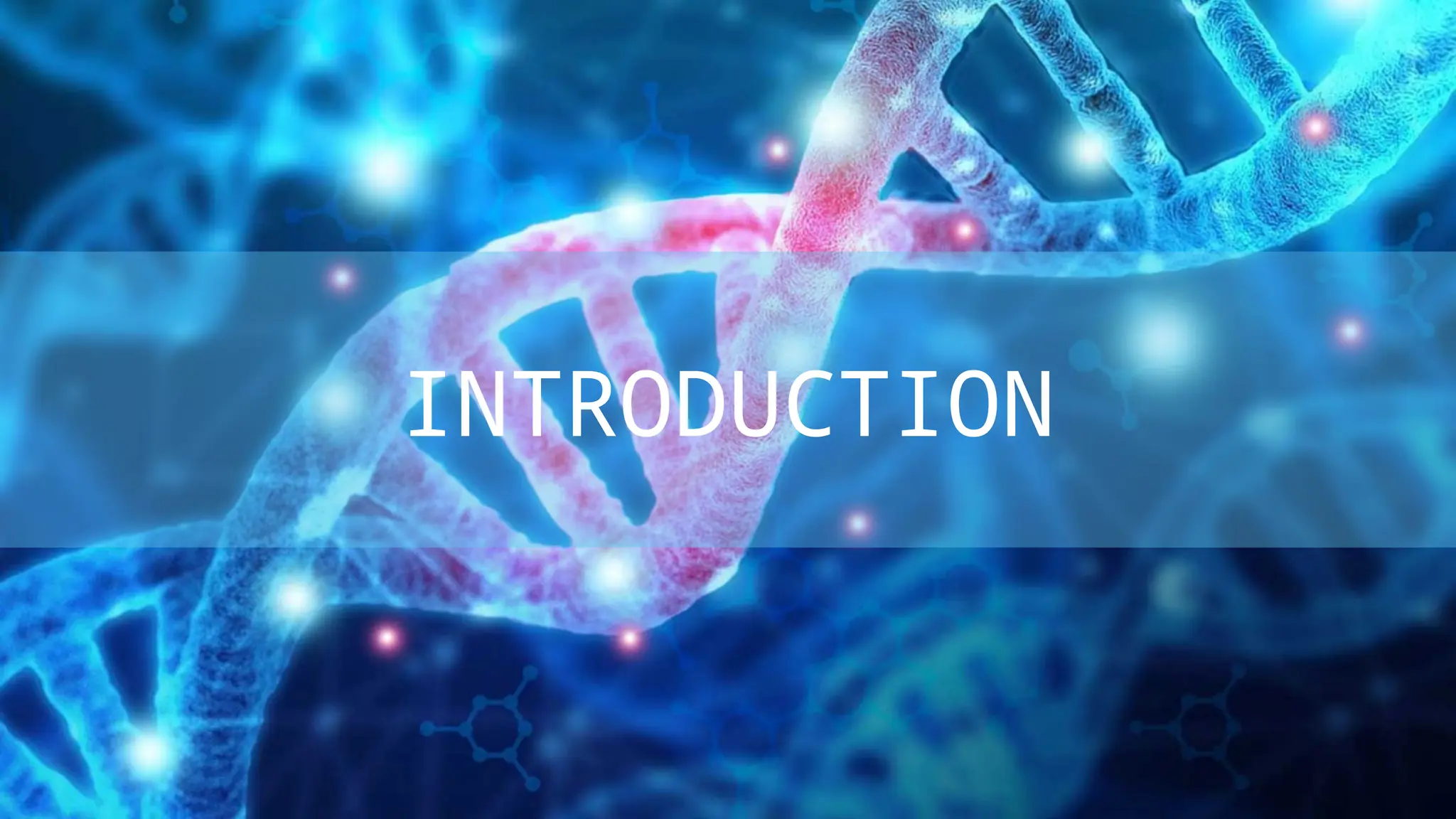 PPT Amyloidosis Bioassay_Rinjani Ayundatika Putri_24030123420010.pptx