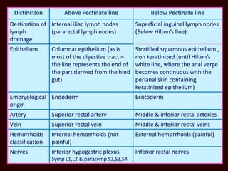 Anatomy of anal canal | PPTX