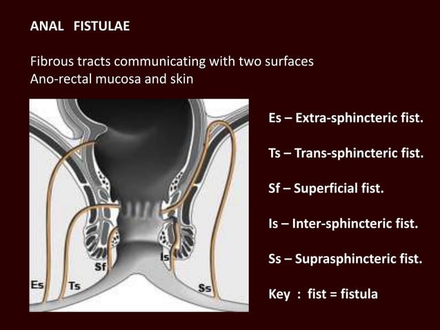 Anatomy of anal canal