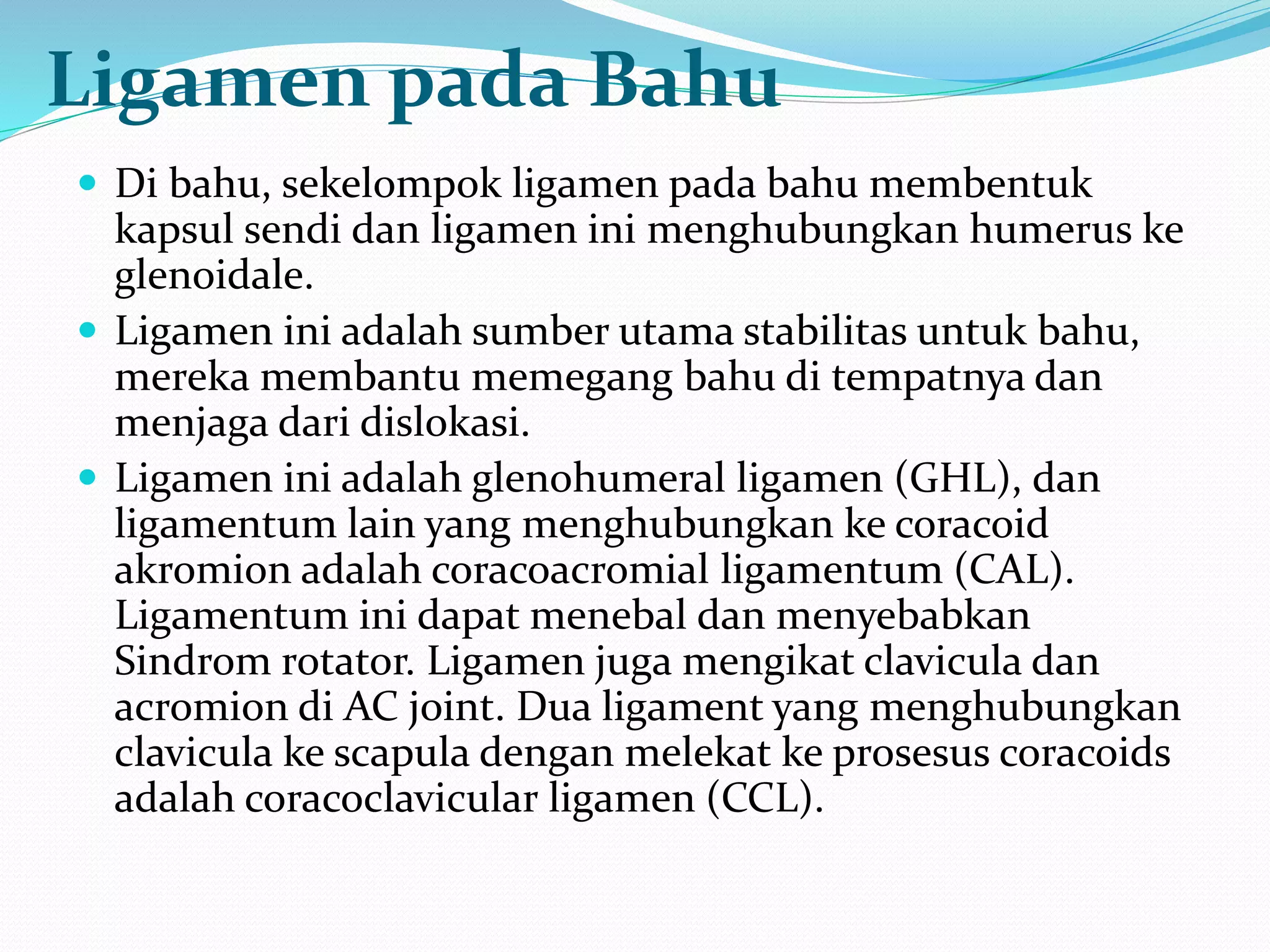 PPT ANATOMI DAN FUNGSI BAHU | PPTX