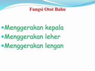 PPT ANATOMI DAN FUNGSI BAHU | PPTX
