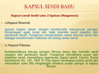 PPT ANATOMI DAN FUNGSI BAHU | PPTX