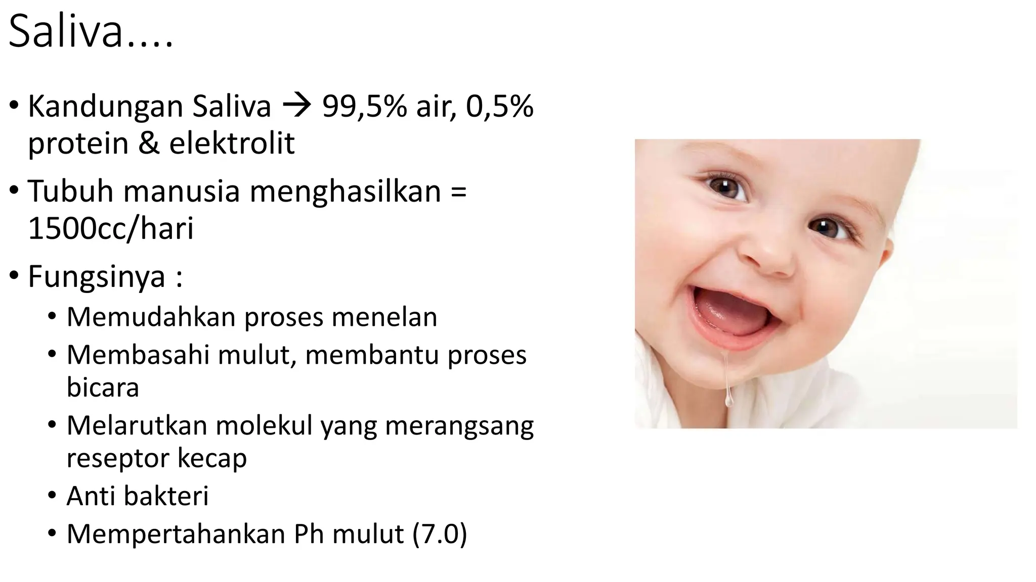 ppt anatomi fisiologi digestif(pencernaan).pptx
