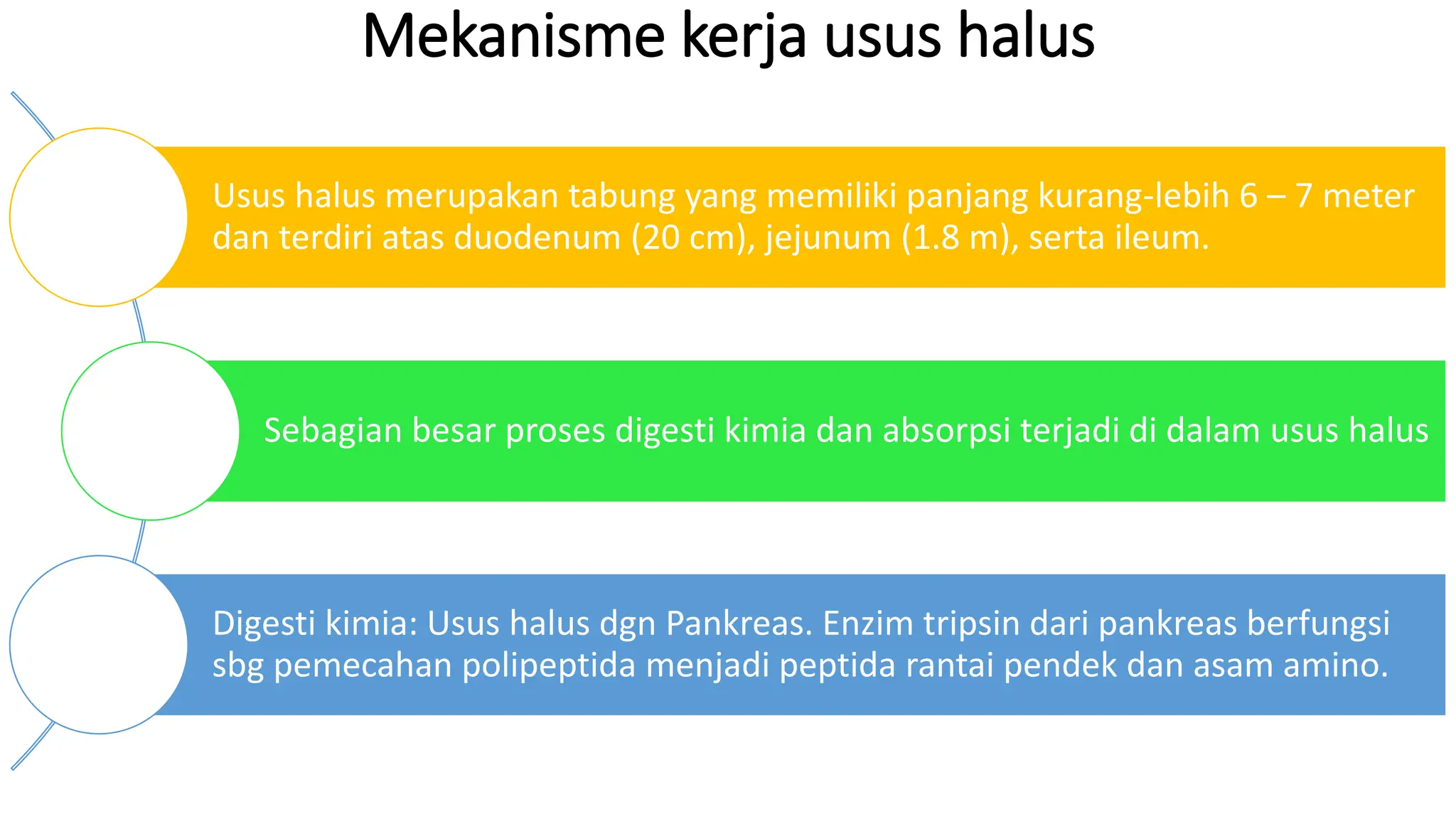 ppt anatomi fisiologi digestif(pencernaan).pptx