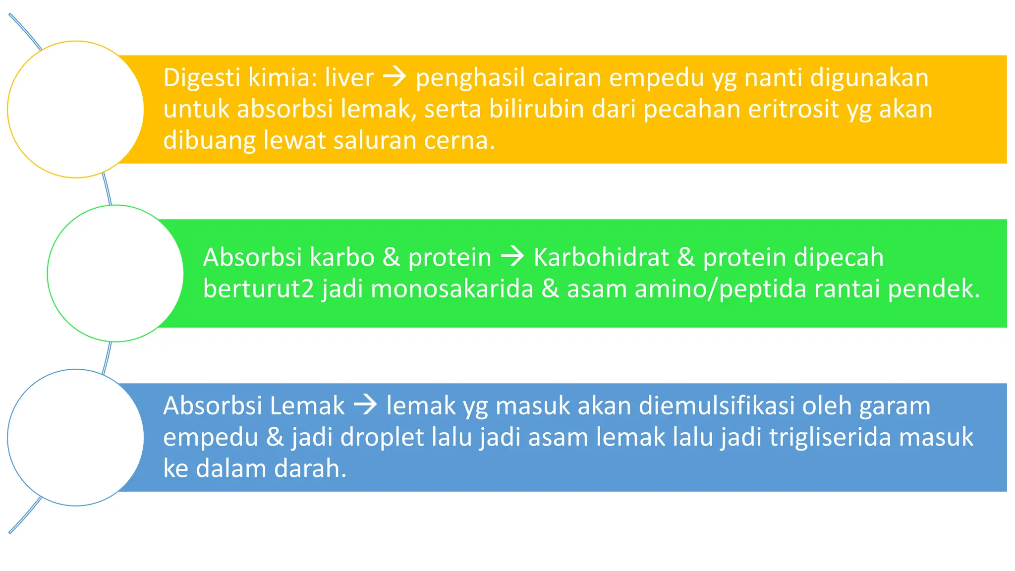 ppt anatomi fisiologi digestif(pencernaan).pptx