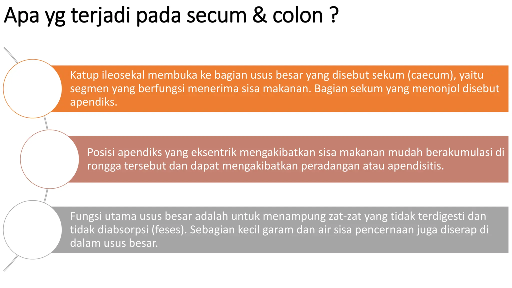 ppt anatomi fisiologi digestif(pencernaan).pptx