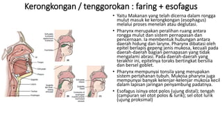 ppt anatomi fisiologi digestif(pencernaan).pptx