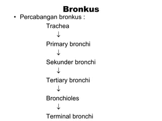 PPT ANATOMI PARU.ppt