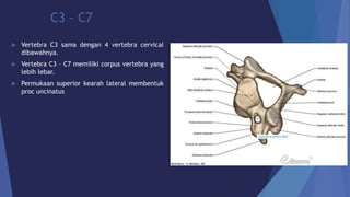ppt ANATOMI POT CACA ANJALI RYAN.pptx