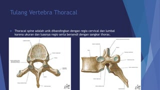 ppt ANATOMI POT CACA ANJALI RYAN.pptx