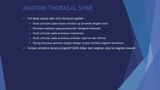 ppt ANATOMI POT CACA ANJALI RYAN.pptx