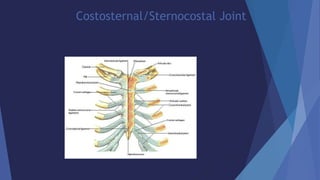 ppt ANATOMI POT CACA ANJALI RYAN.pptx