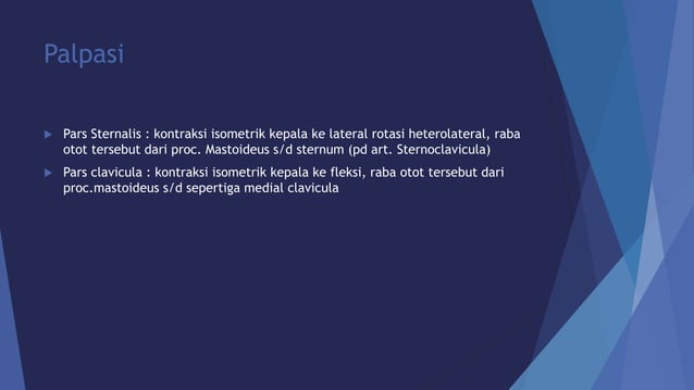 ppt ANATOMI POT CACA ANJALI RYAN.pptx