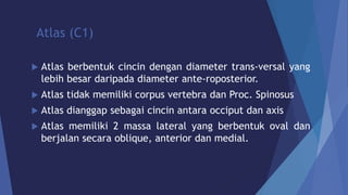 ppt ANATOMI POT CACA ANJALI RYAN.pptx