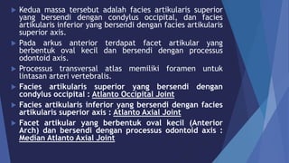 ppt ANATOMI POT CACA ANJALI RYAN.pptx