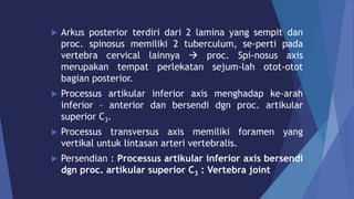 ppt ANATOMI POT CACA ANJALI RYAN.pptx