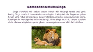 PPT Anatomi Singa & Harimau FOR 3RD SEMESTER .pptx
