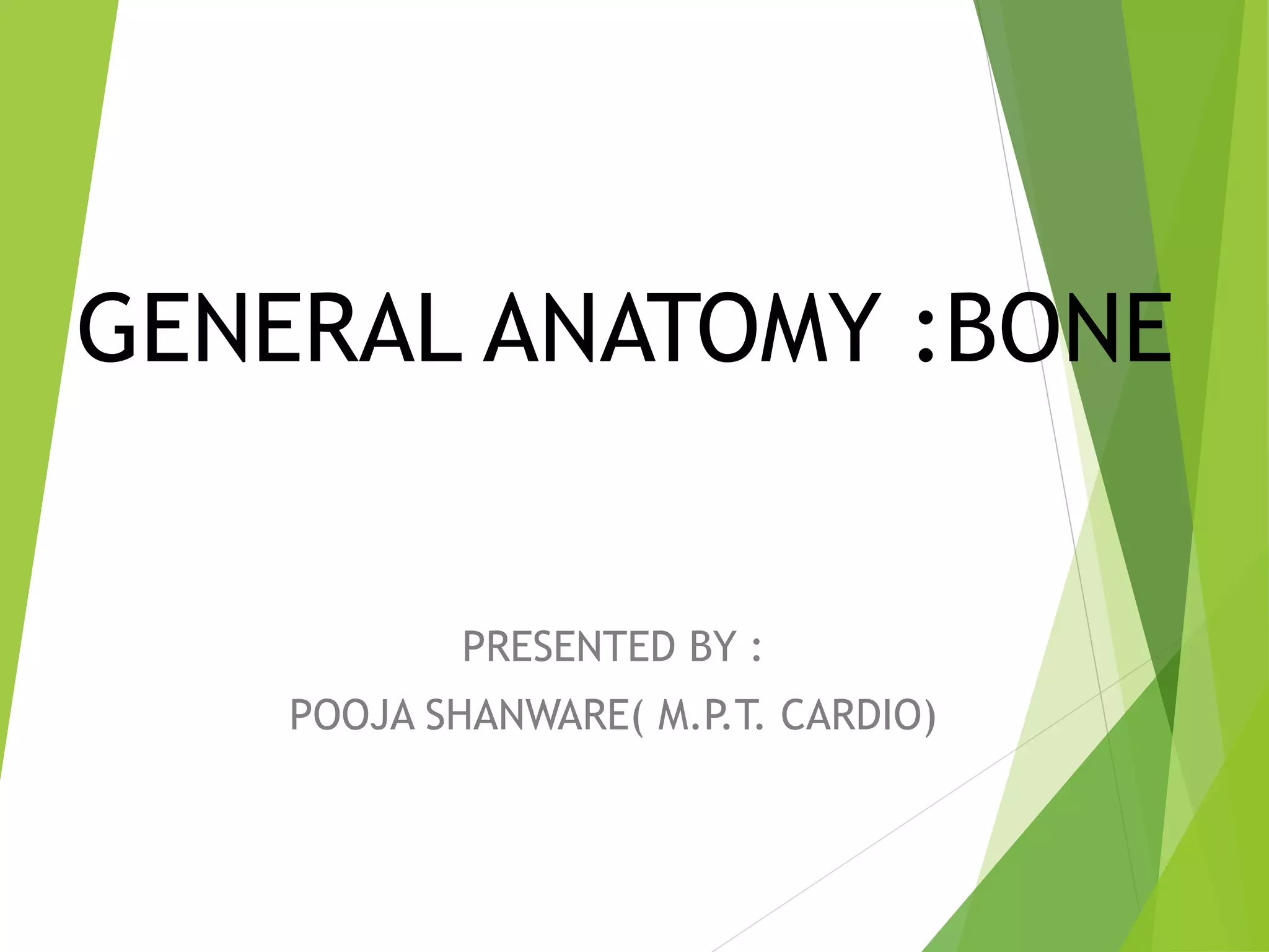ppt anatomy.pptx