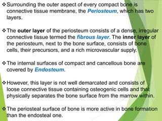 ppt anatomy.pptx