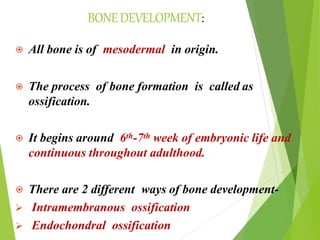 ppt anatomy.pptx