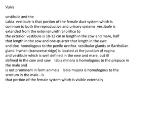 Ppt anatomy1 | PPTX | Pregnancy | Reproductive Health